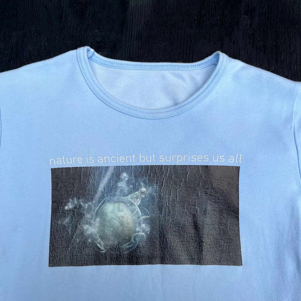 BJÖRK 'NATURE IS ANCIENT' '97 TOP – Temple of Nostalgia